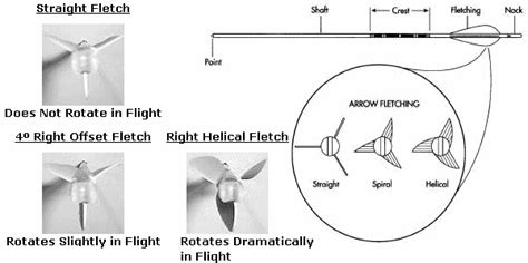 Arrows And Archery Free Knowledge Base The Duck Project Information