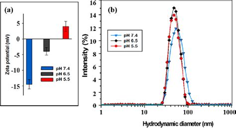 A ζ Potential And B Dls Particle Size Distribution Profiles Of Download Scientific Diagram