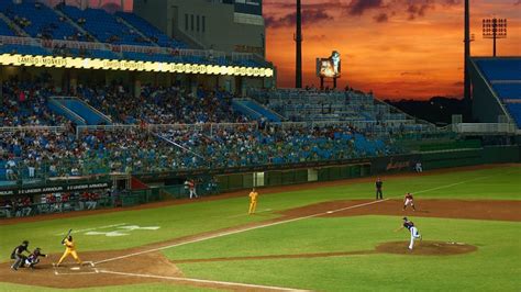 What Does Bot Mean In Baseball [understanding Baseball Terminology] Metro League