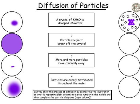Diffusion Worksheets Differentiated Teaching Resources Diffusion Worksheets Differentiated Teaching Resources