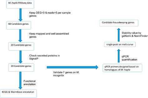 Candidate Housekeeping Gene Selection Pipeline Download Scientific