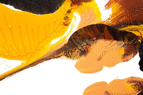 갈색 크림색 노란색 추상 아크릴 그림 색상 질감 흰 종이 배경에 로르샤흐 잉크 얼룩 방법을 사용하여 0명에 대한 스톡 사진 및 기타 이미지 Istock