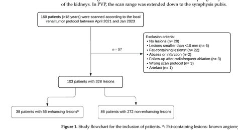 Study Flowchart For The Inclusion Of Patients A Fat Containing Download Scientific Diagram