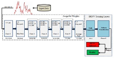 The Thematic Diagram For Resnet101 Tl Architecture For Denv Download Scientific Diagram