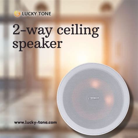 Dove Zhang On Linkedin Ceilingspeaker Rimless 100vspeaker