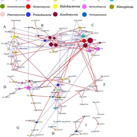 Distance Based Redundancy Analysis Dbrda By The First Two Dimensions