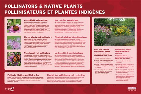 Pollinator Habitat Program