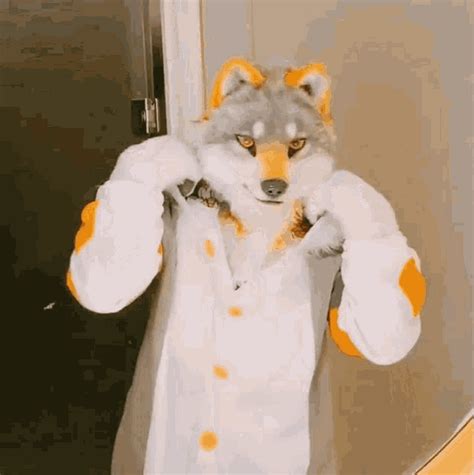 Furry Fursuit  Furry Fursuit Wolf Discover And Share S