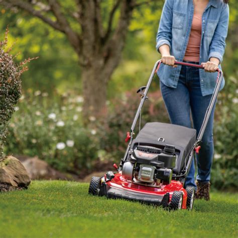 트로이빌트 Tb150 엔진 잔디깍기 163cc 비자주식 잔디깍는 기계 하우숩