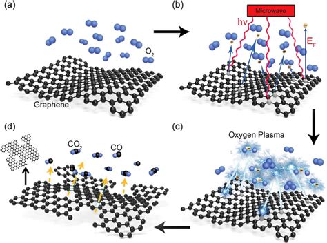 Preparation Process For Holey Graphene Hg Download Scientific Diagram