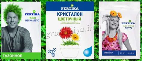 Удобрение Фертика: инструкция по применению, отзывы