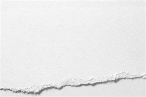 Torn Paper