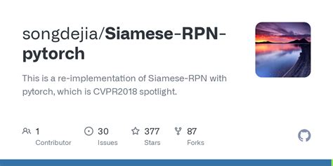 GitHub Songdejia Siamese RPN Pytorch This Is A Re Implementation Of Siamese RPN With Pytorch