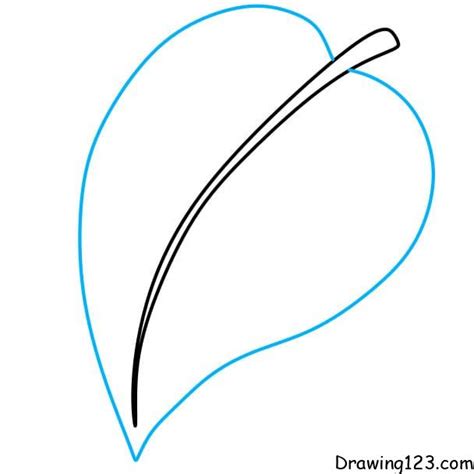 Schritt 3 Zeichnen Sie Erneut Die Blattadern