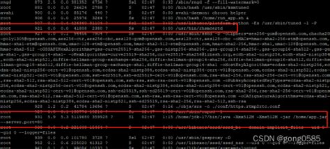 Centos 里面的service自启动appjar，出现两个java进程，app是同一个端口一个jar包可以启动两个java进程吗 Csdn博客