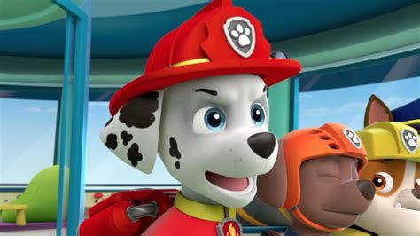 Marshall - Marshall - PAW Patrol Photo (40156650) - Fanpop