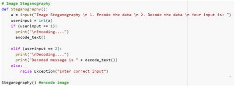 Image Steganography Using Python Understanding Lsb Image Steganography
