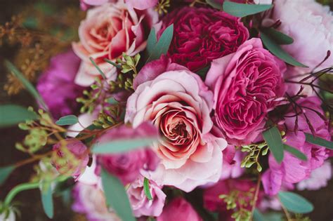 Bela Flowers Photos | Best Flower Site