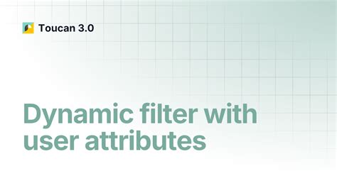 Dynamic Filter With User Attributes Toucan 30