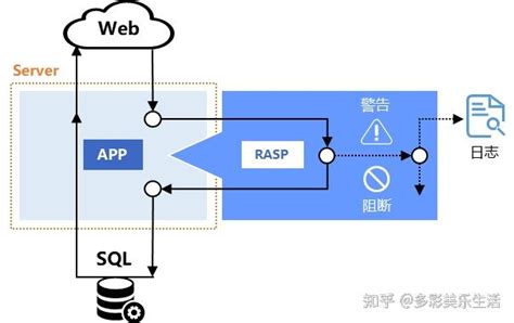 权威高分评估，开源网安rasp为您的应用注入防御抗体 知乎