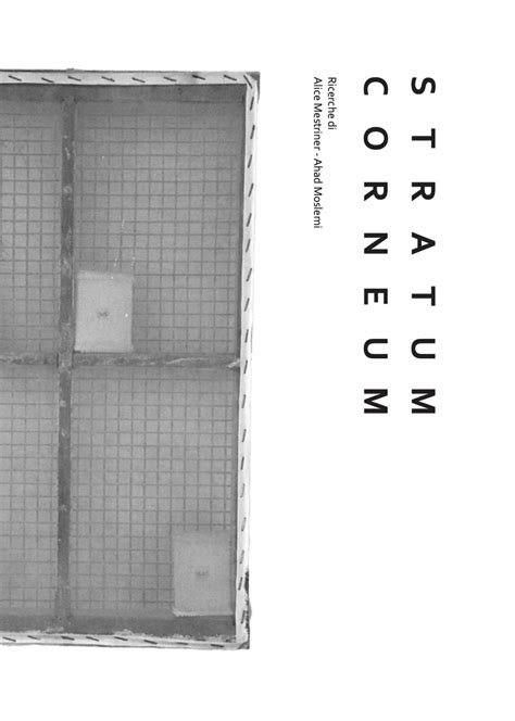 Stratum Corneum Bside War