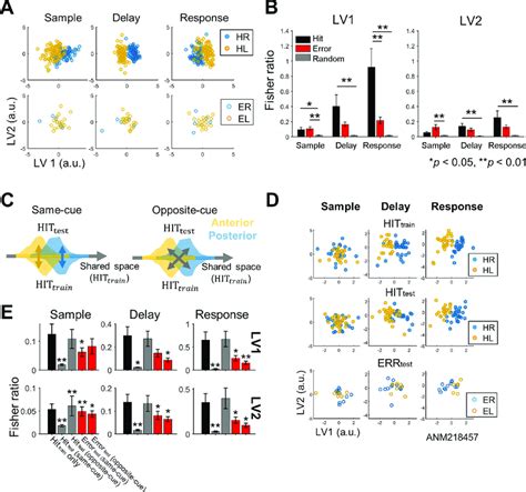 Neural Representations Of Task Relevant Information In The Shared Space Download Scientific