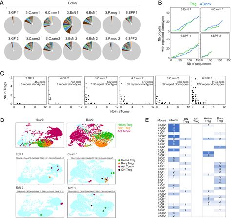 Homeostatic Repertoire And Transcriptional Relationships Between Colon