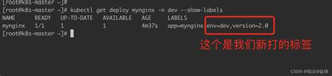 十一、kubernetes核心技术label详解、实例kubectl Label Csdn博客