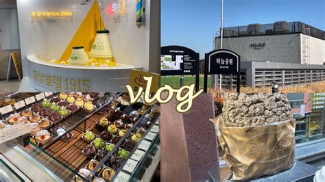 리들여행기 🍞 성심ㄷ아니아니 대전 당일치기 가족여행 Vlog 유성온천 성심당 대전신세계 테라스키친 Youtube