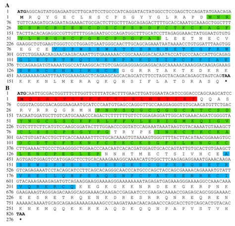 Effect Of Exogenous Hormone On R Spondin 2 Rspo2 And R Spondin 3 Rspo3 Gene Expression And