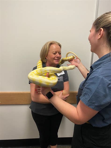 Breeda Crowley On Linkedin The Perks Of Working Down Under