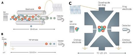 The Basics Of Mass Spectrometry Gutmicrobiotaforhealth