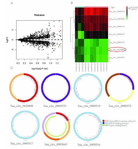 expression profiles of seven decs in geo datasets and their structures