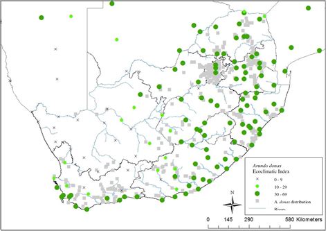 Arundo Donax Map