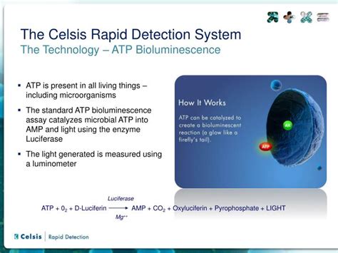 Ppt Celsis Rapid Detection Akuscreen™ Adenylate Kinase Amplified
