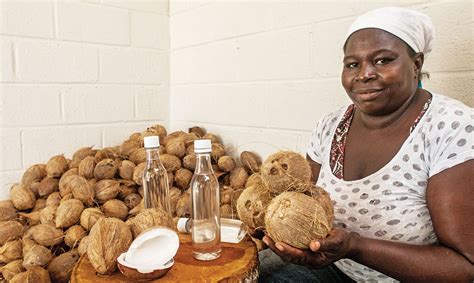 Coco Un Racimo De Oportunidades Para La Mujer Rural Y La Industria