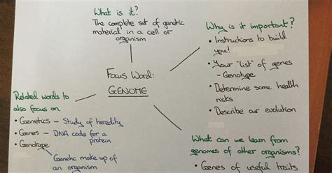 Framing Reading Semantic Maps