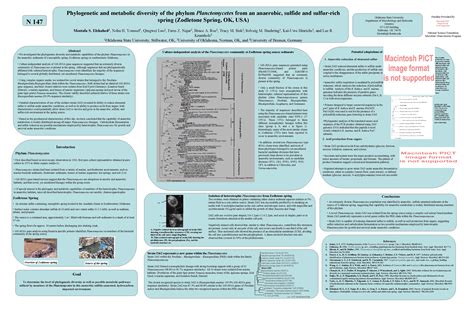 Phylogenetic And Metabolic Diversity Of The Phylum Planctomycetes