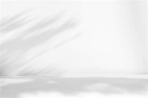 제품 프레젠테이션을 위한 추상적인 흰색 스튜디오 배경입니다 창문과 꽃과 야자수 잎의 그림자빈 방 복사 공간이있는 3d 룸 여름 콘서트 흐린 배경 그림자에 대한 스톡 사진 및