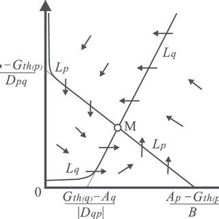 Solution Of The External Mode Competition Dqp