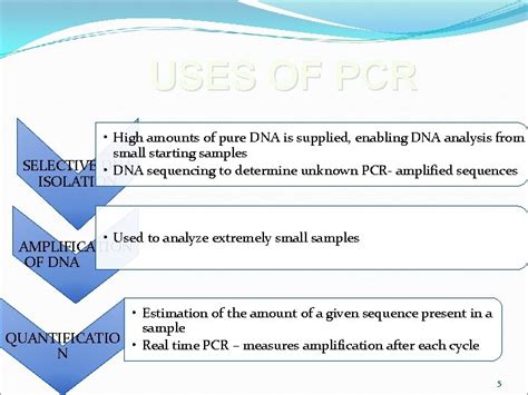 Biol 1220 Synthetic Biology Pcr And Primer Design