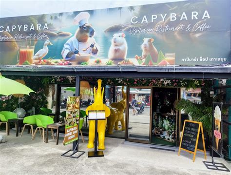 Capybara Coffee Samui Kohplanner