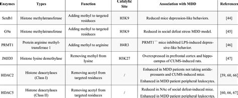 Histone Modification Enzymes And Their Functions In Mdd Download