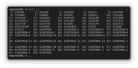 如何在 Linux 中使用 Sigint 和其他终止信号