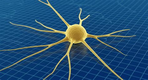 Neural Network Scaling Laws Predict Performance With Problem Complexity