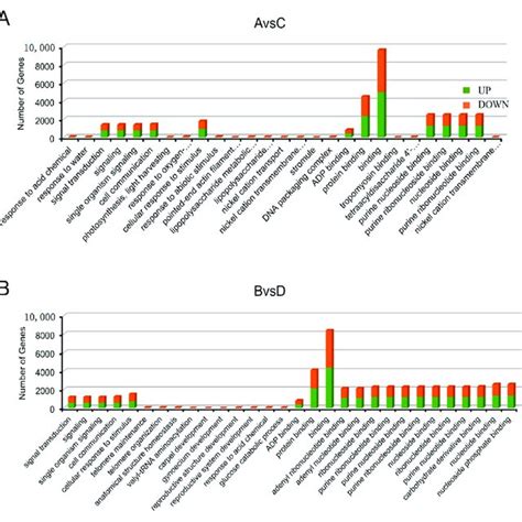 Gene Functional Classifications In Kog Database These 49395 Sequences
