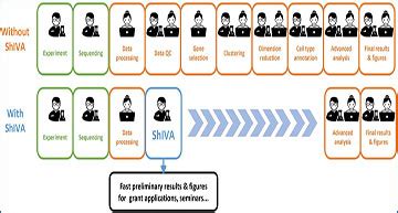 RNA Seq Of The Nucleolus Reveals Abundant SNORD Derived Small RNAs RNA Seq Blog