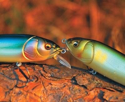 10 лучших уловистых воблеров minnow (минноу) для ловли щуки
