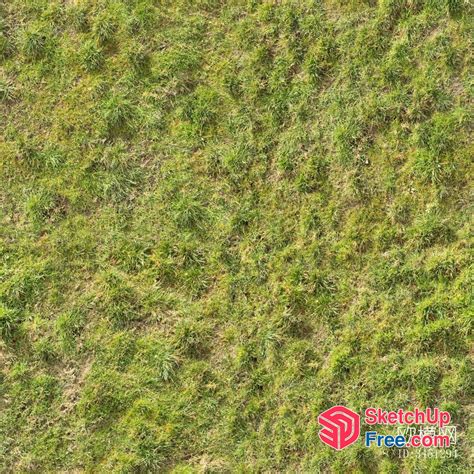 Grass Lawn Green Space Map Sketchup Free