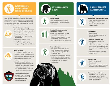 Black Bears How To Avoid Or Resolve A Wildlife Conflict Living With